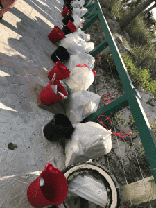 5 Sustainable Team Building Activities for Your Company | Wildly Different